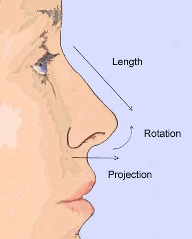 Nasal Beauty Surgery Procedures Toronto | Dr. Oakley Smith